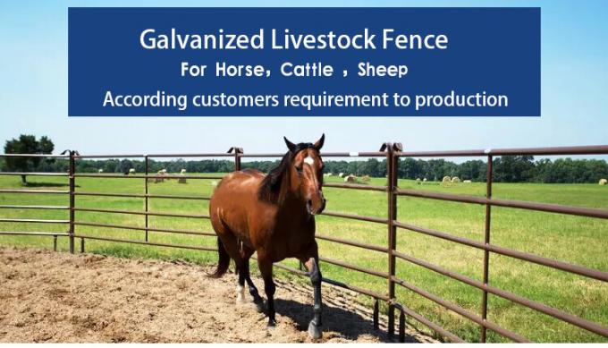 Goat Sheep Farm Corral Panels CE ISO PE Coated Stainless Steel ...